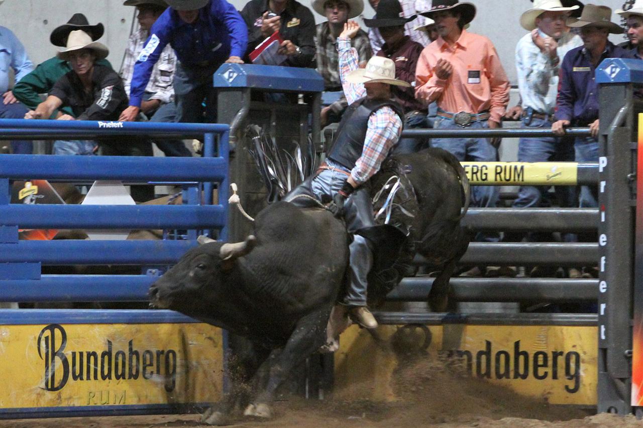 Farley brothers back bull bucking - ABC News