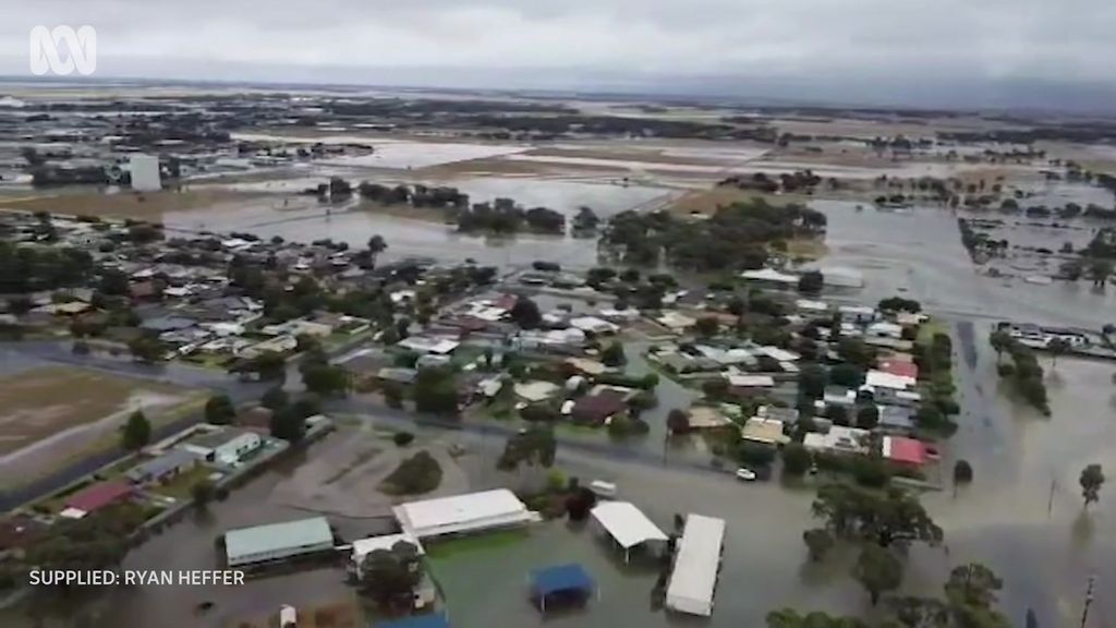 Flooding at Deniliquin - ABC News