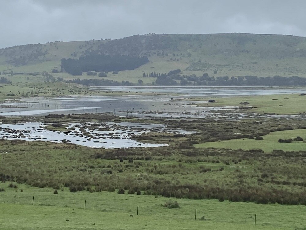 Farm levee bank to disappear and reinvigorate historic wetlands in ...