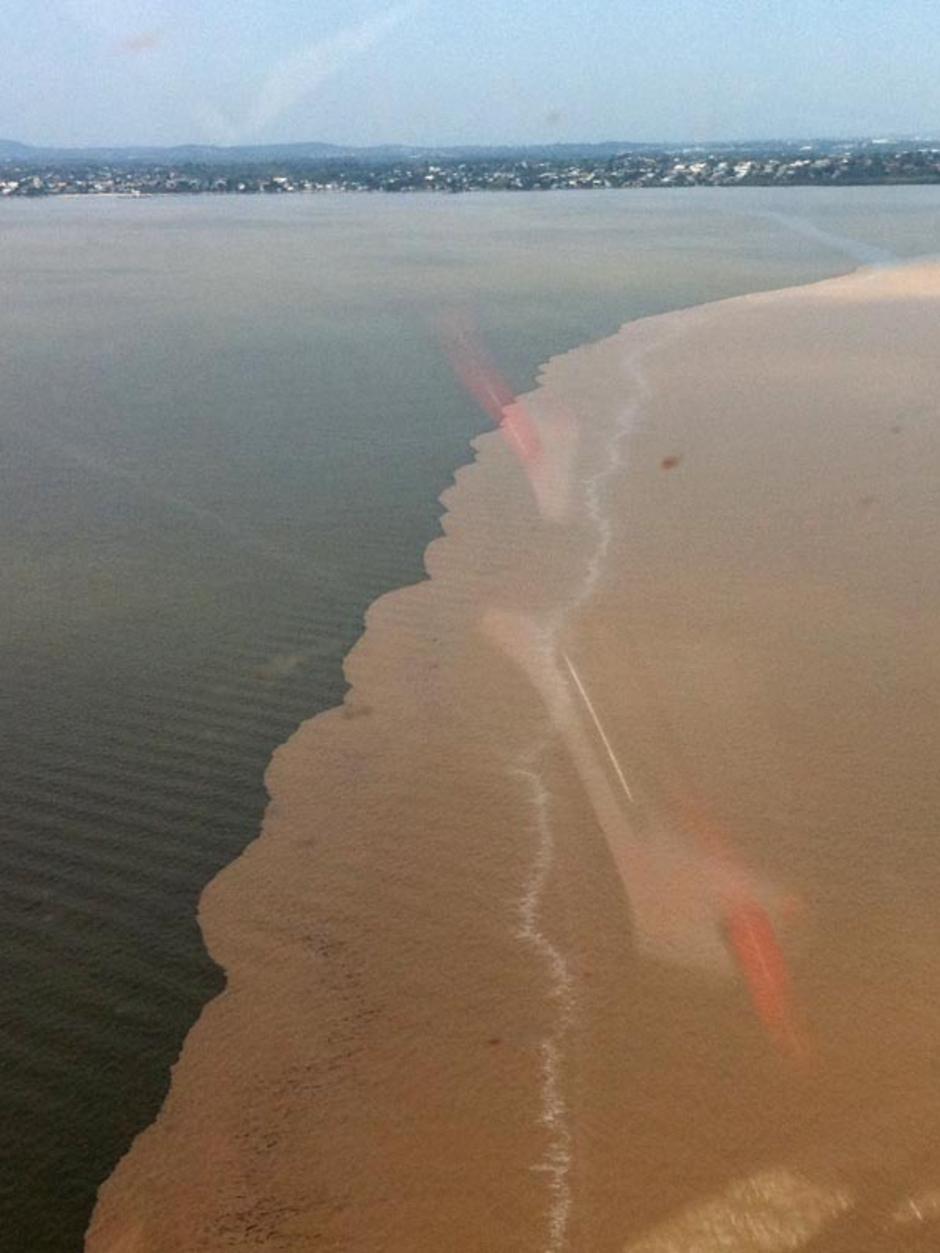 Navy divers concerned about sharks in Brisbane River - ABC News