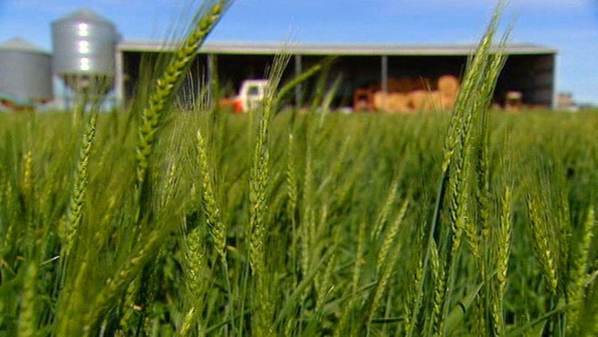 Wrangling rural R and D - ABC News