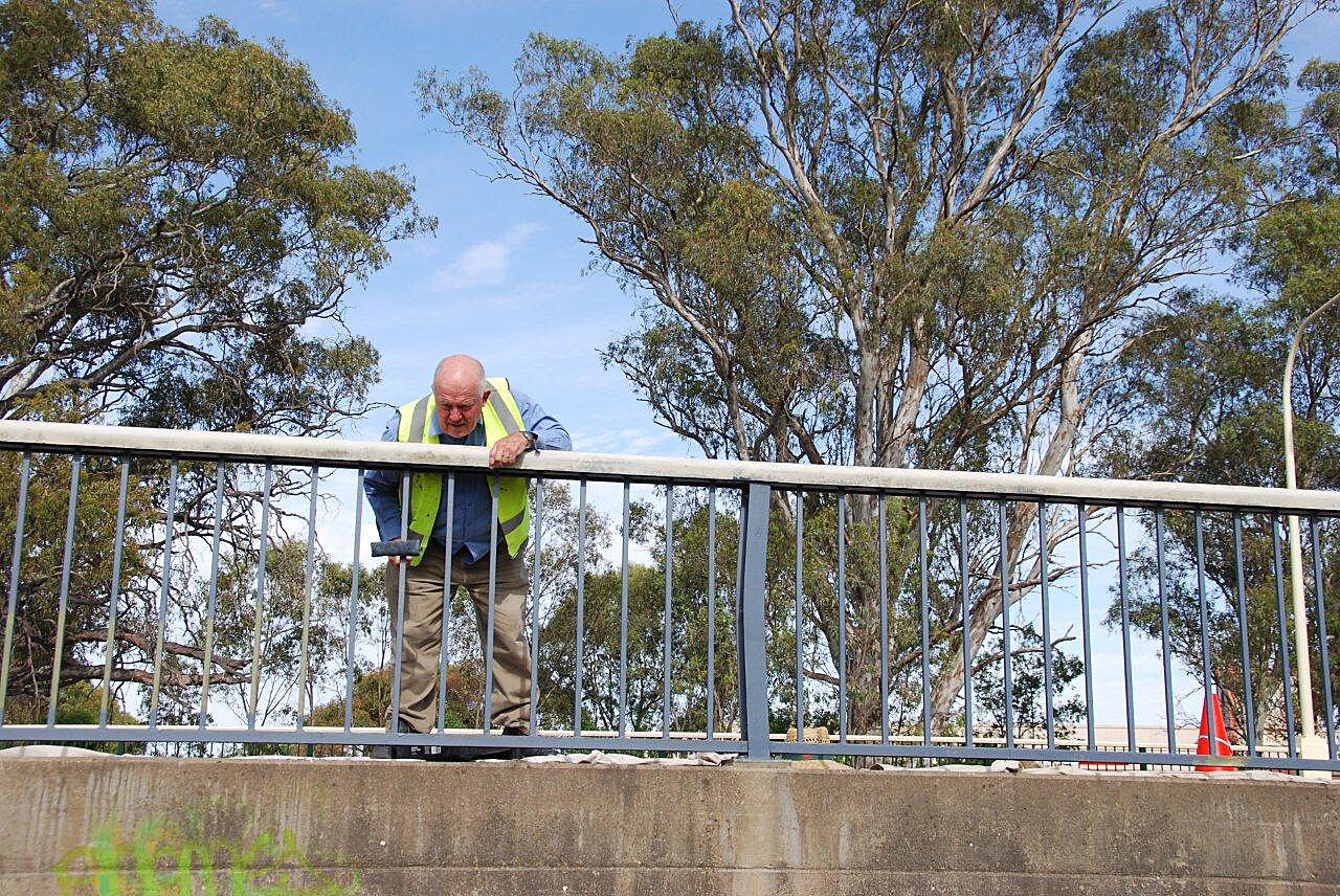 Lighter side of SA in 2012 - ABC News