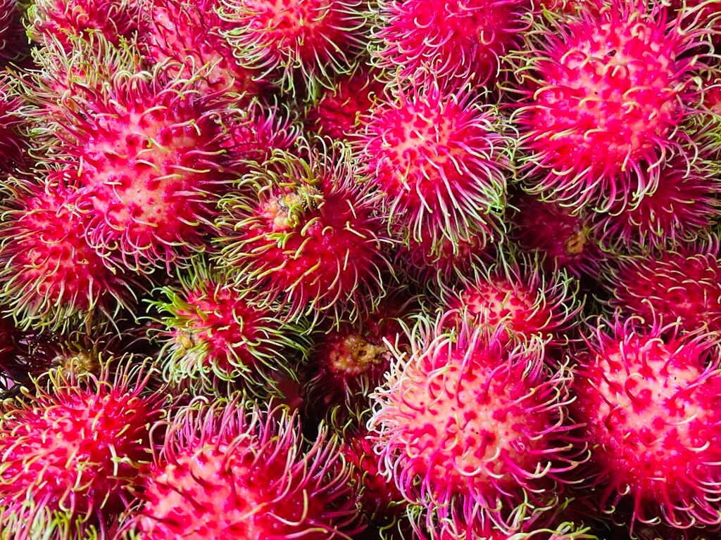 NT Country Hour with Matt Brann - ABC listen