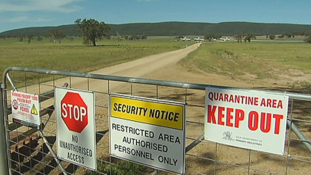 Bird flu quarantine in place in NSW - ABC News