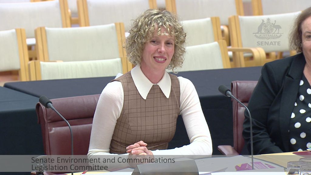 Gina Rinehart gifts portrait to National Portrait Gallery, Senate ...