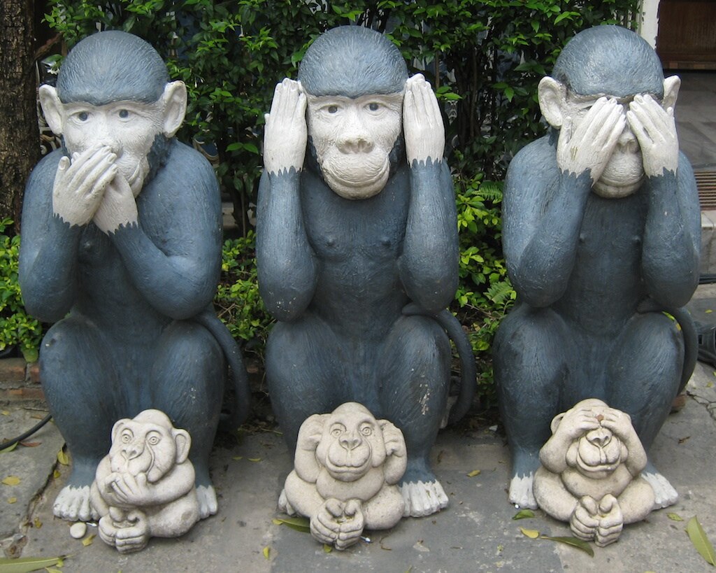 Sam and the three monkeys - ABC listen