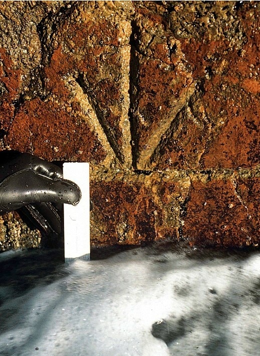 Alexandra Humphries - ABC News