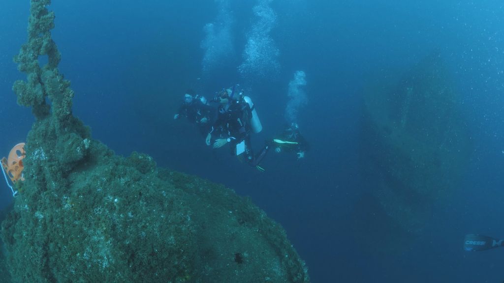 Gold Coast's artificial dive site Wonder Reef opens to the public in ...