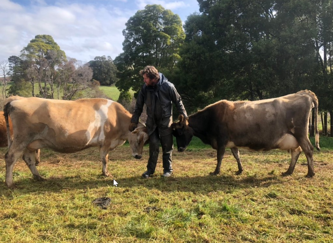 Victorian Country Hour - ABC listen