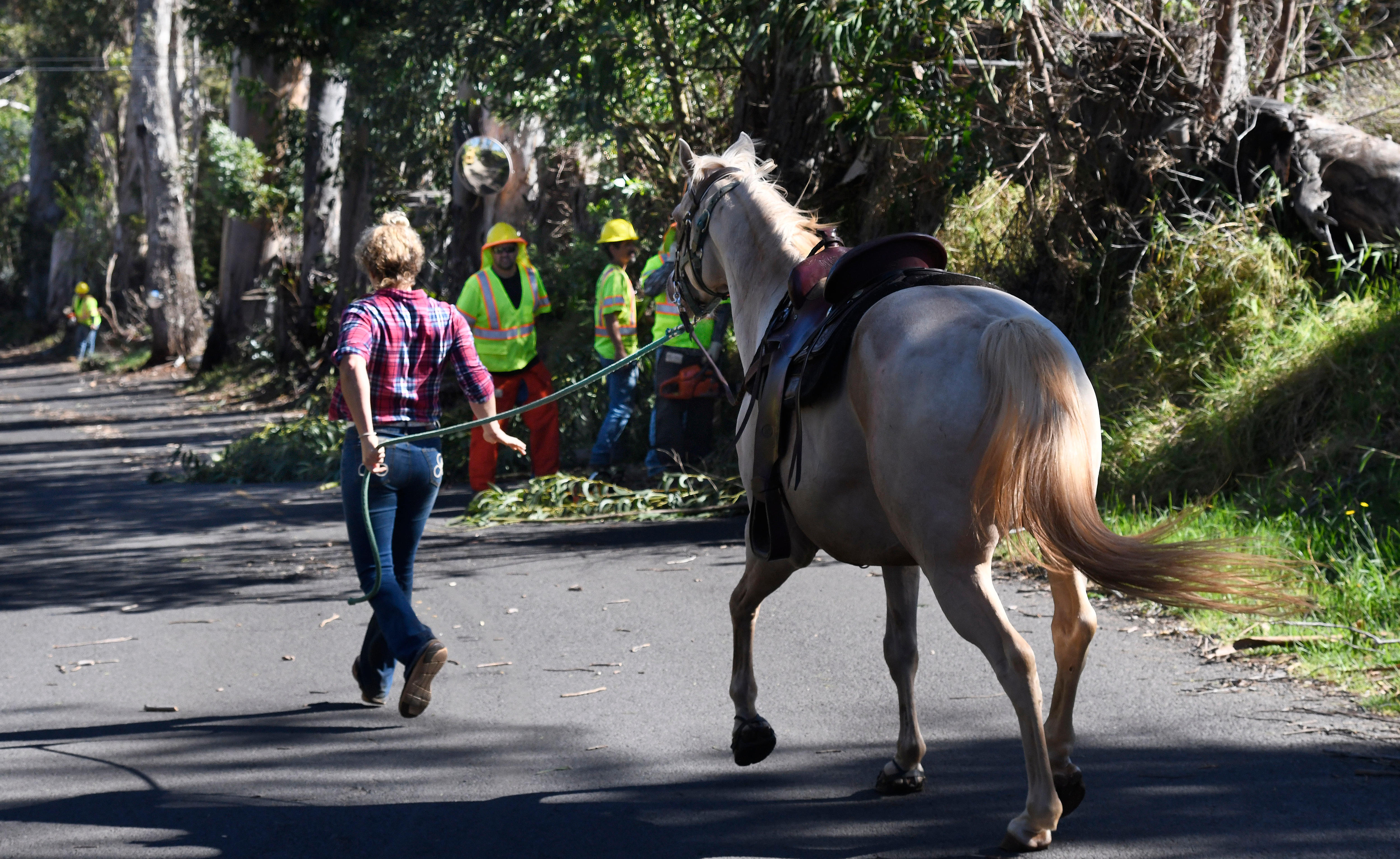 Six killed in Hawaii as wildfires force people to flee from Maui into ...