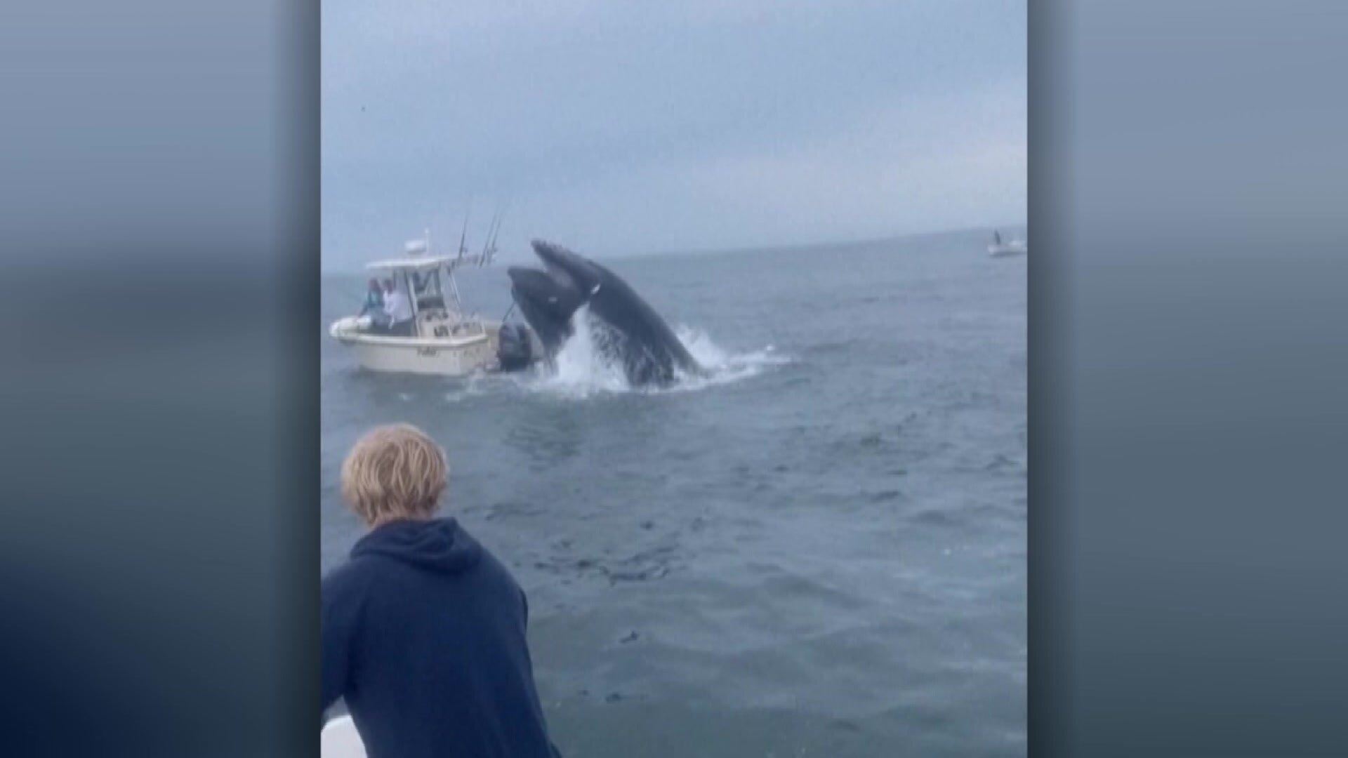 Makoto Shinkai's latest anime Suzume is a romantic and funny romp that ...