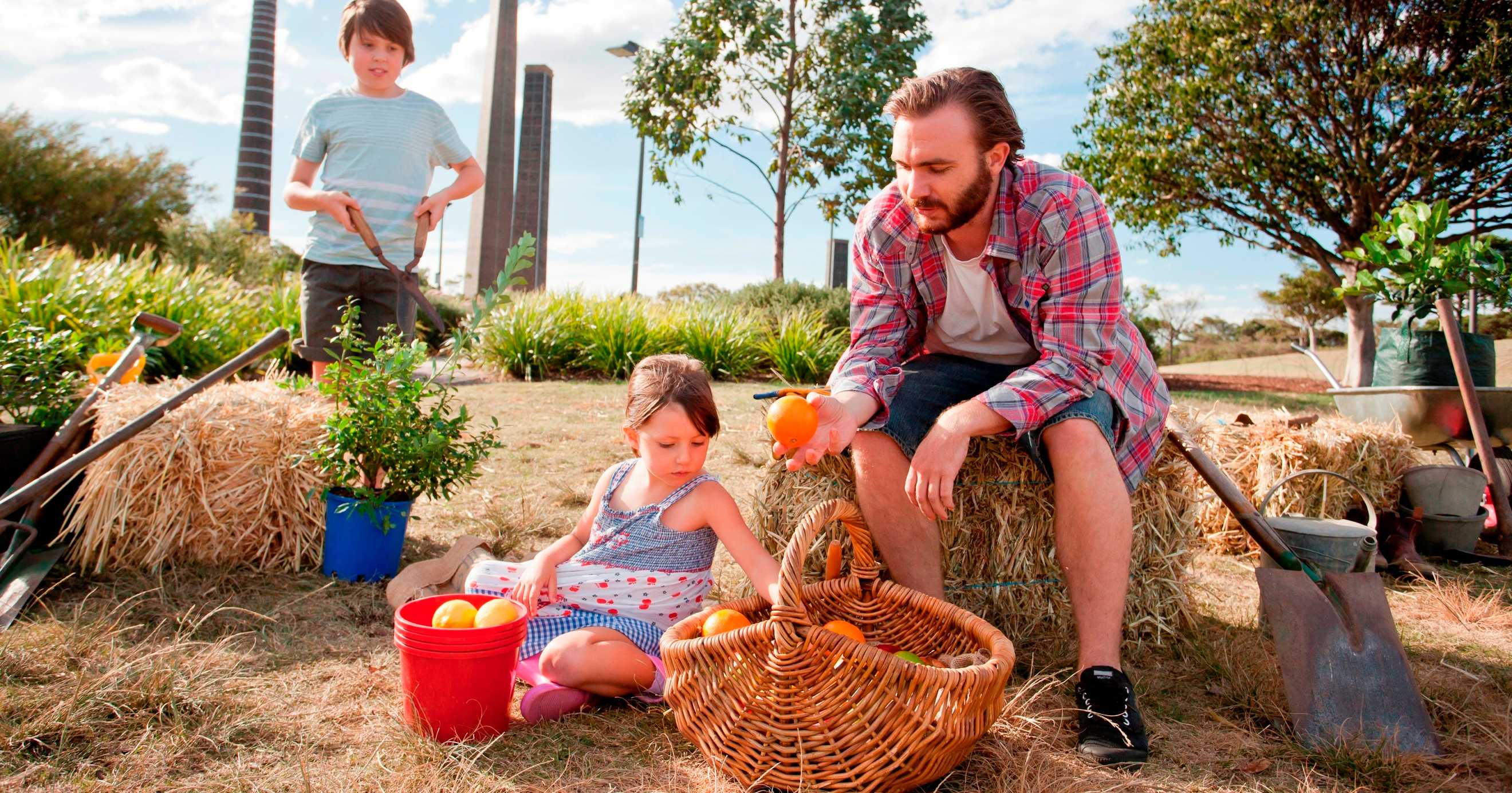 Sydney City Council votes unanimously to build an inner city farm at St ...