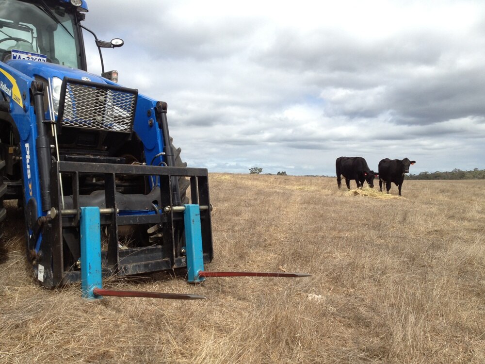 Lobby group works to convince Qld Government not to tighten rules on ...