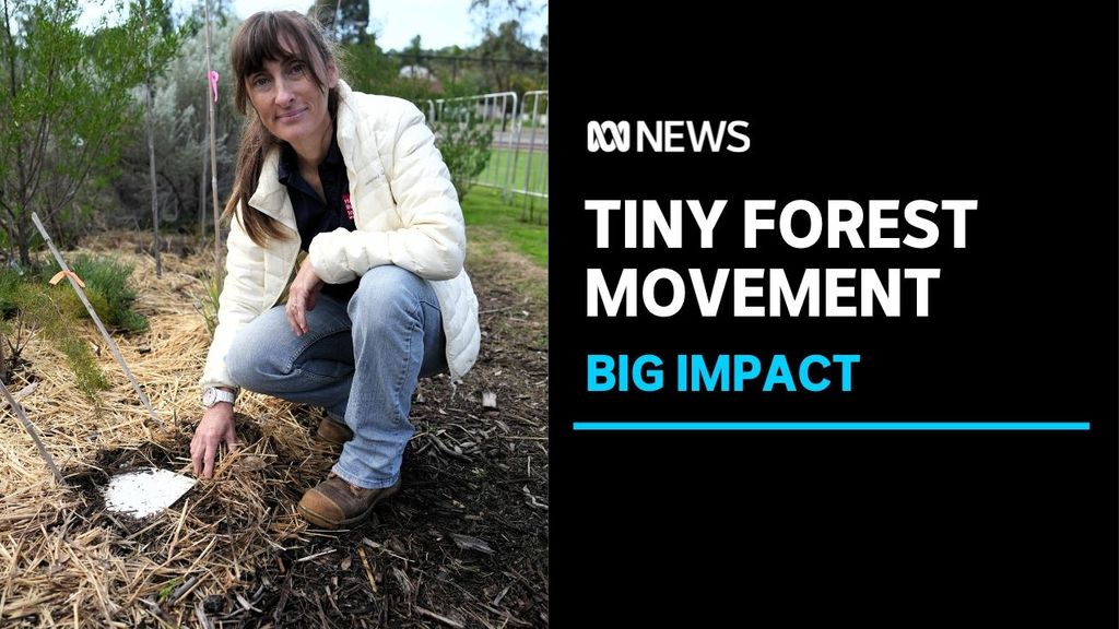 How the tiny forest movement could be the key to restoring Perth's tree ...