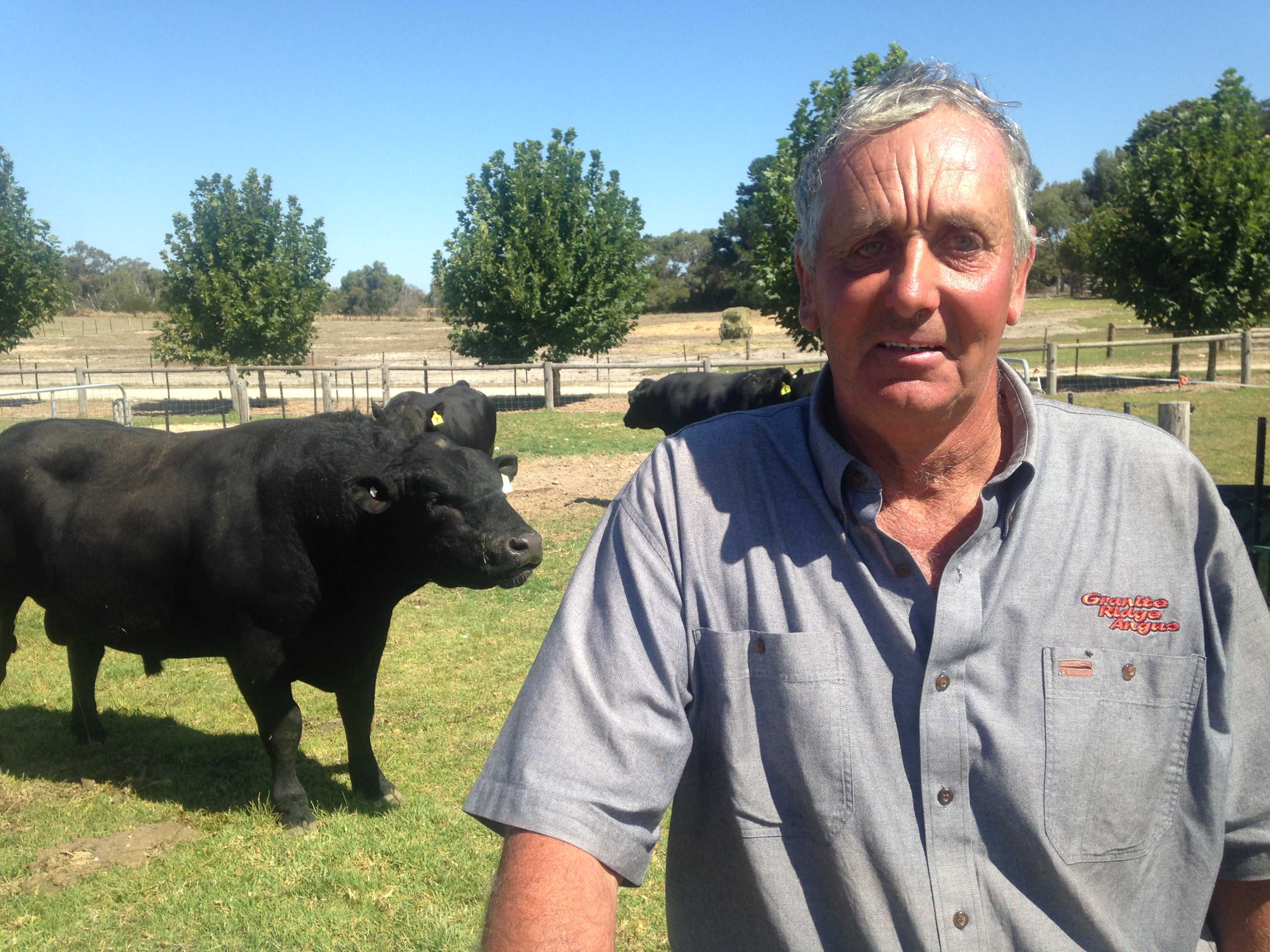 Breeding strategies trump Mother Nature's dry spell in South Australia ...