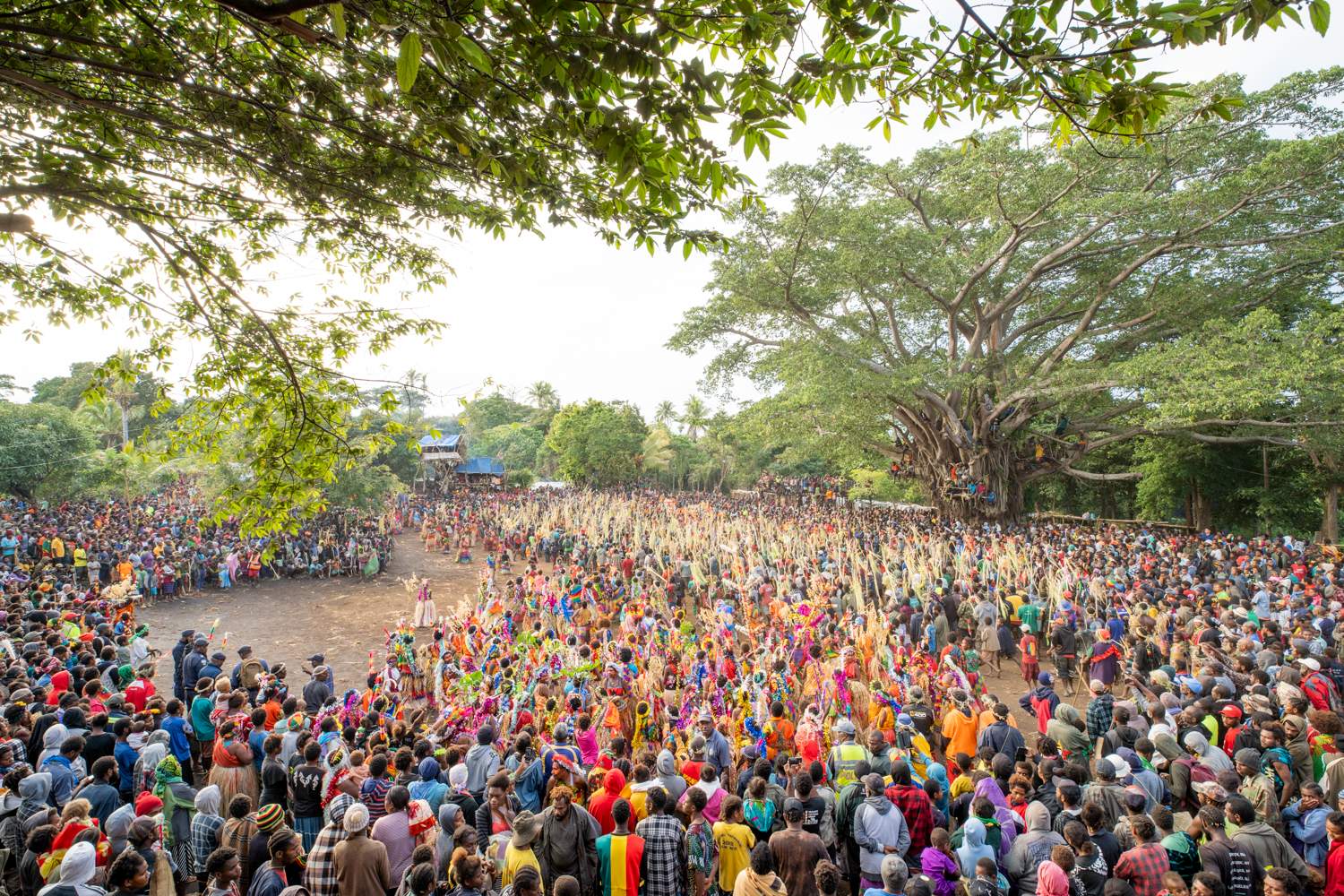 In COVID-free Vanuatu, this marathon cultural festival has brought ...