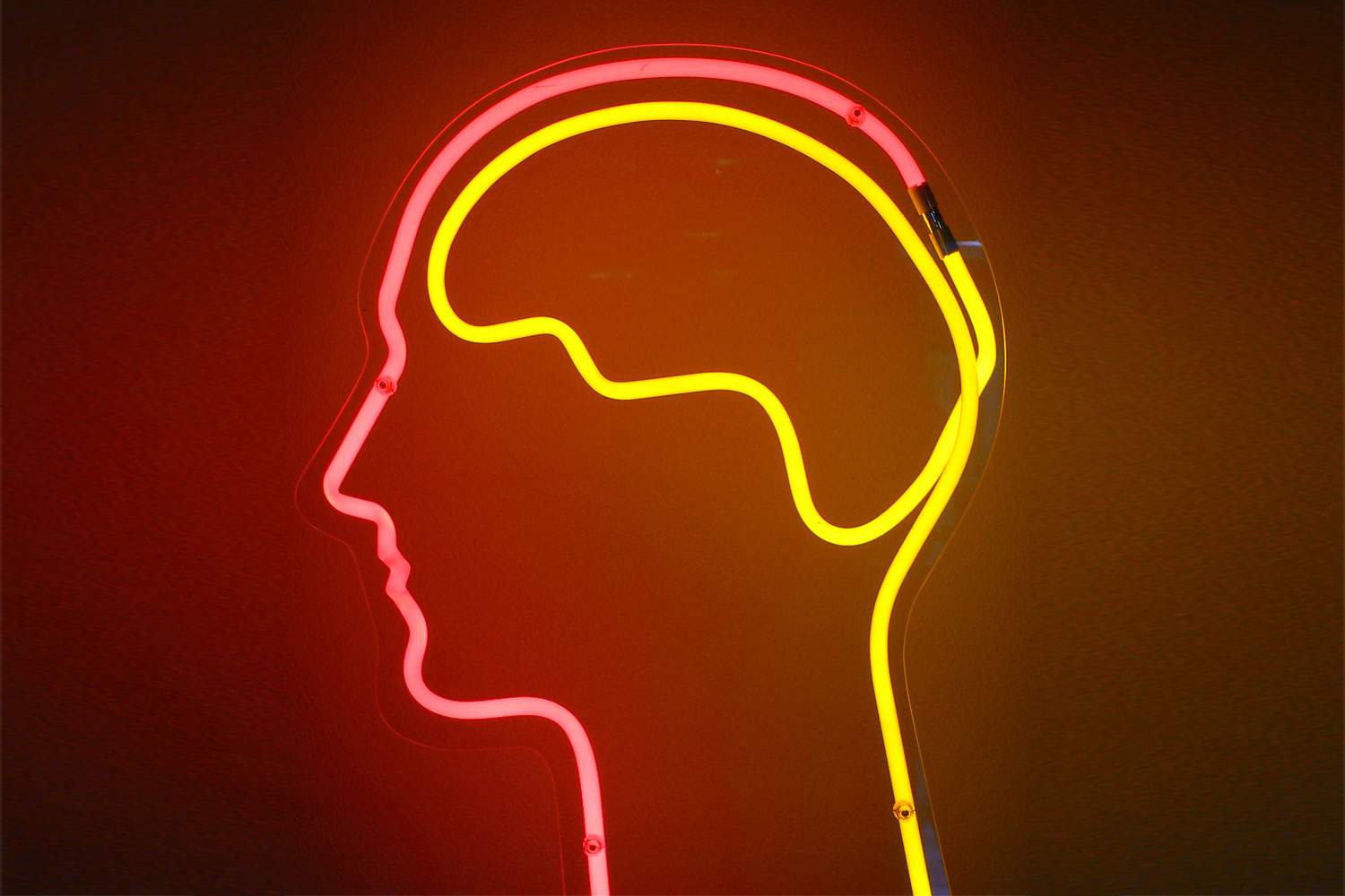 David Coady - ABC News