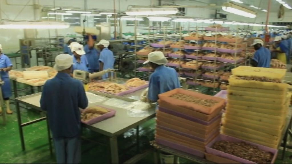 Solomons tuna factory expands capacity with $10m loan - ABC News
