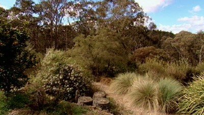 An Experimental Garden - Gardening Australia