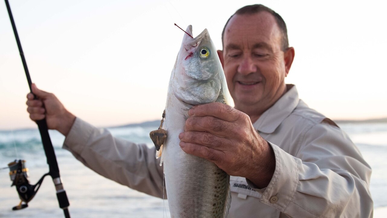 The Big Fish - ABC listen