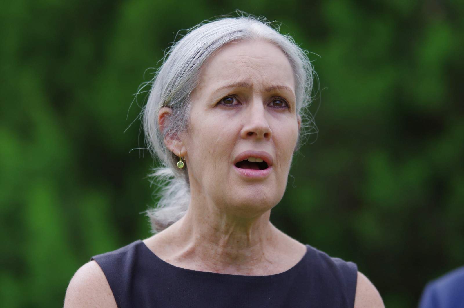 How WA coronavirus health operations chief Liz MacLeod readied the ...