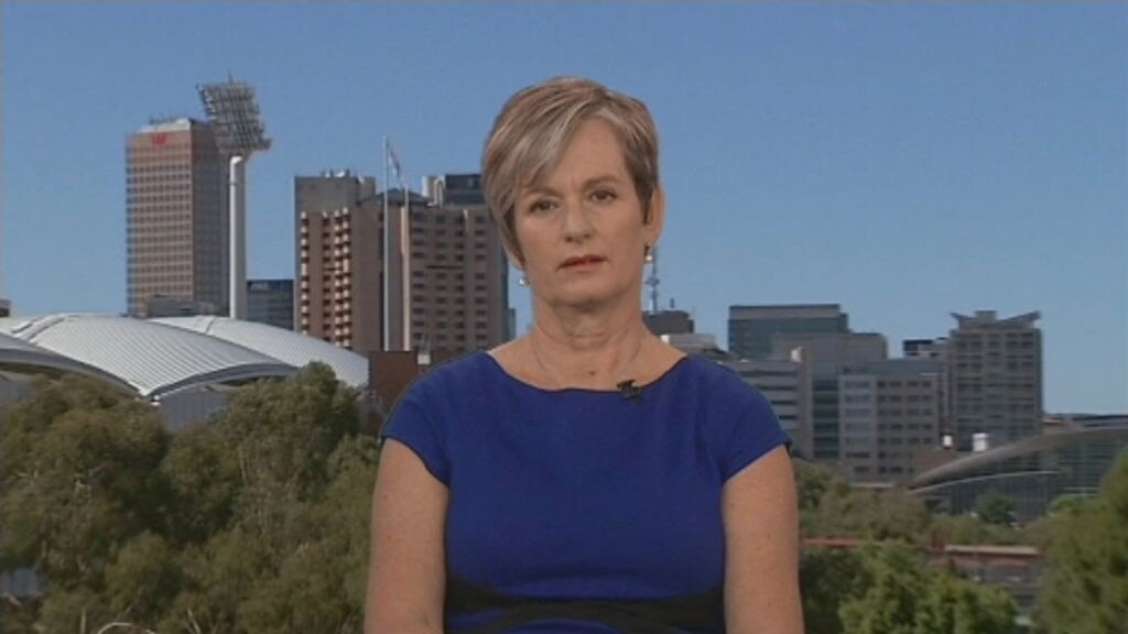 Australian of the Year: South Australian candidate Felicity-ann Lewis ...