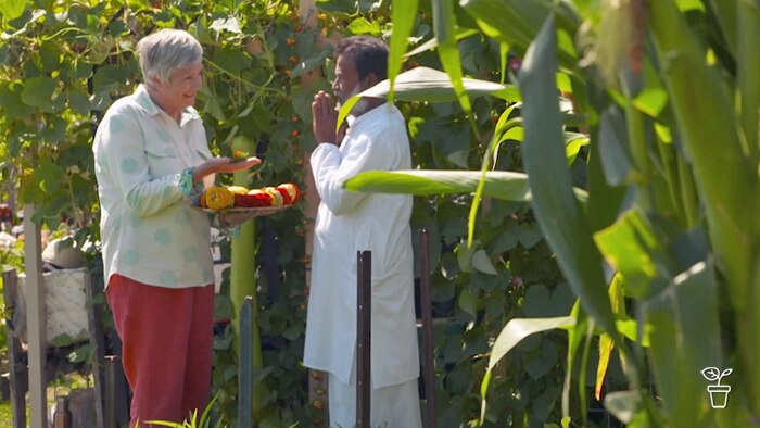 Springvale Spirit - Gardening Australia