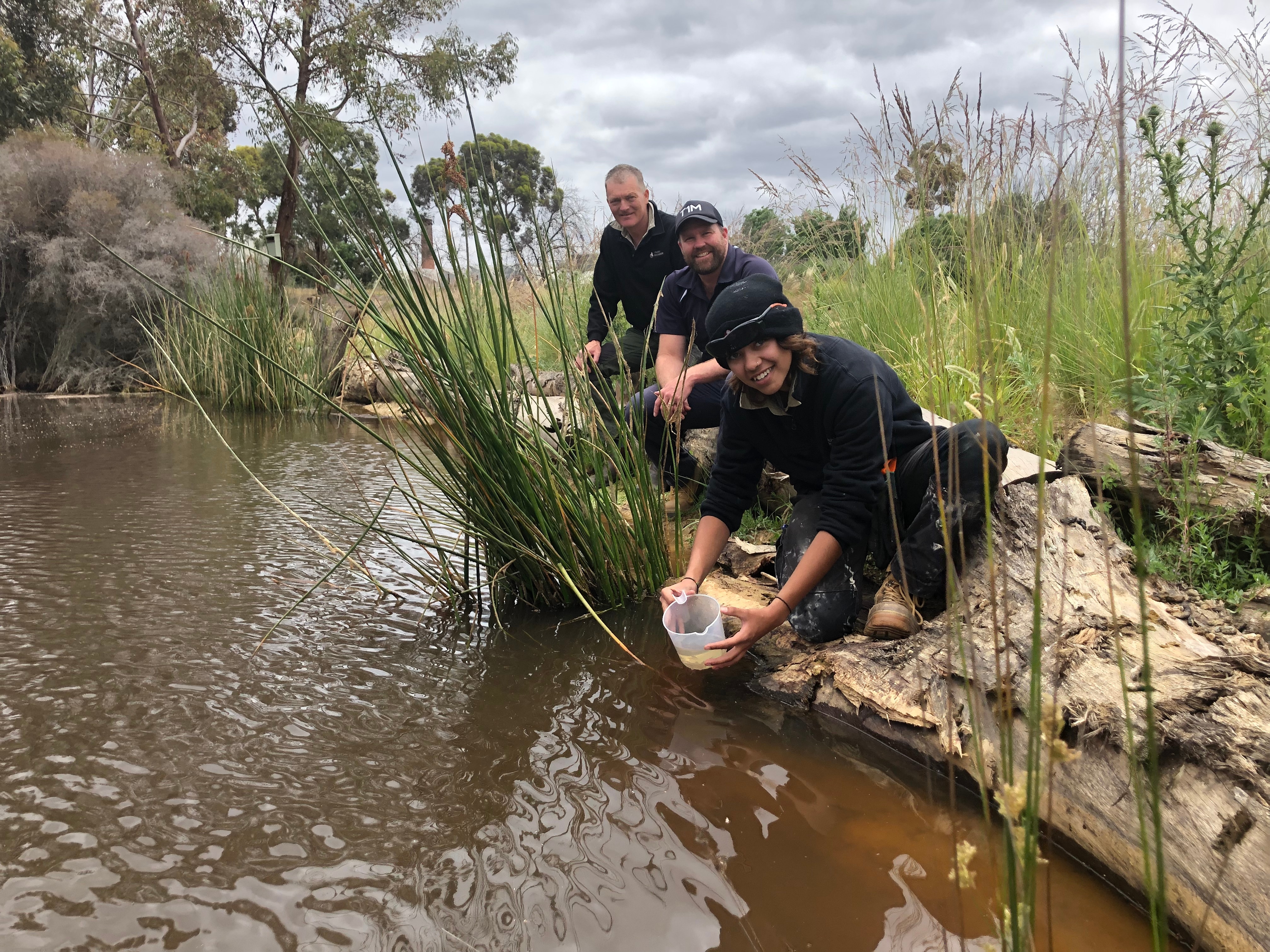 Zombie fish released into the wild as captive-bred numbers reach the ...