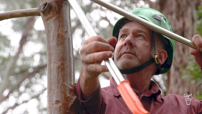 My Garden Path - Rowan Reid - Gardening Australia