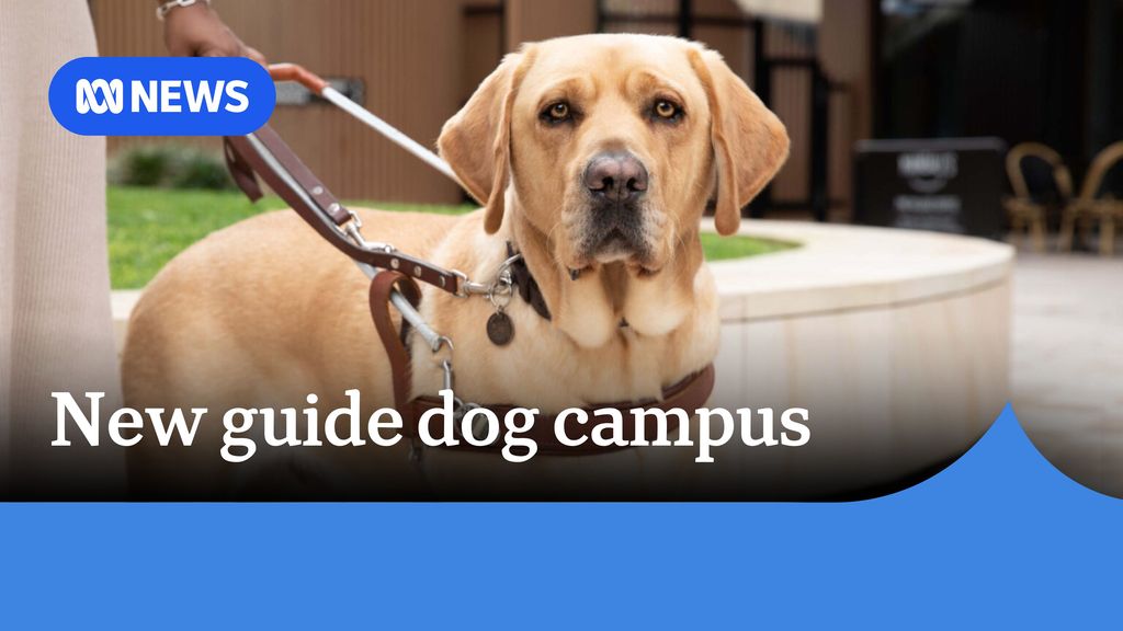State-of-the-art training campus opens for Victorian guide dogs - ABC News