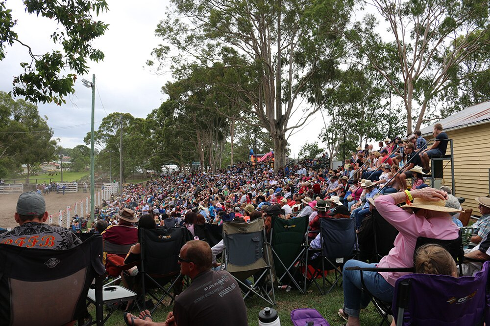 Record crowd at Wingham Summertime Rodeo in New South Wales - ABC News