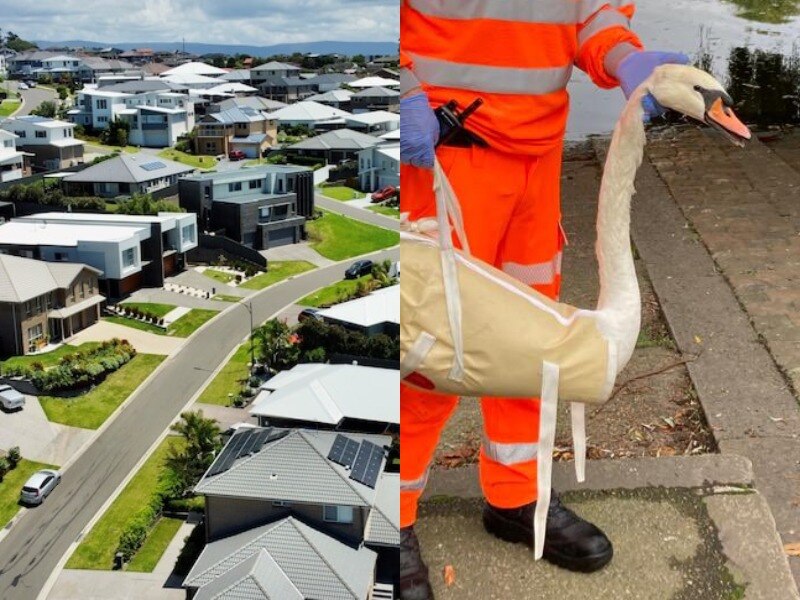 The Loop: The RBA hikes the cash rate, North Korea's latest missile ...