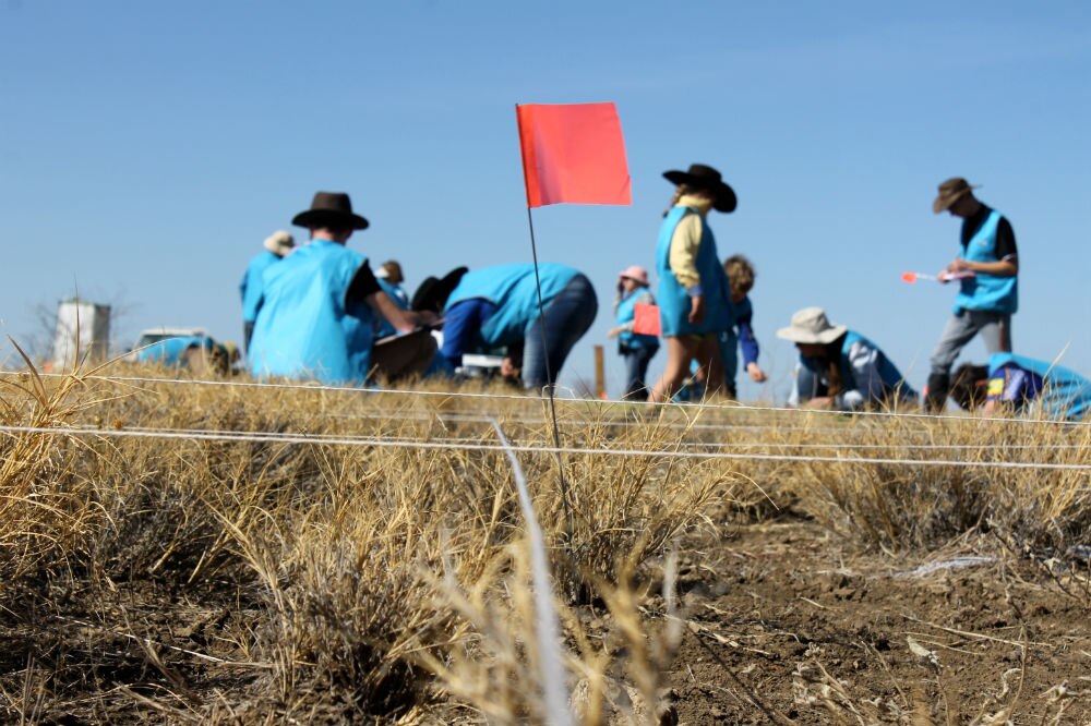 Fossil enthusiasts assist scientists to unearth ancient marine reptile ...