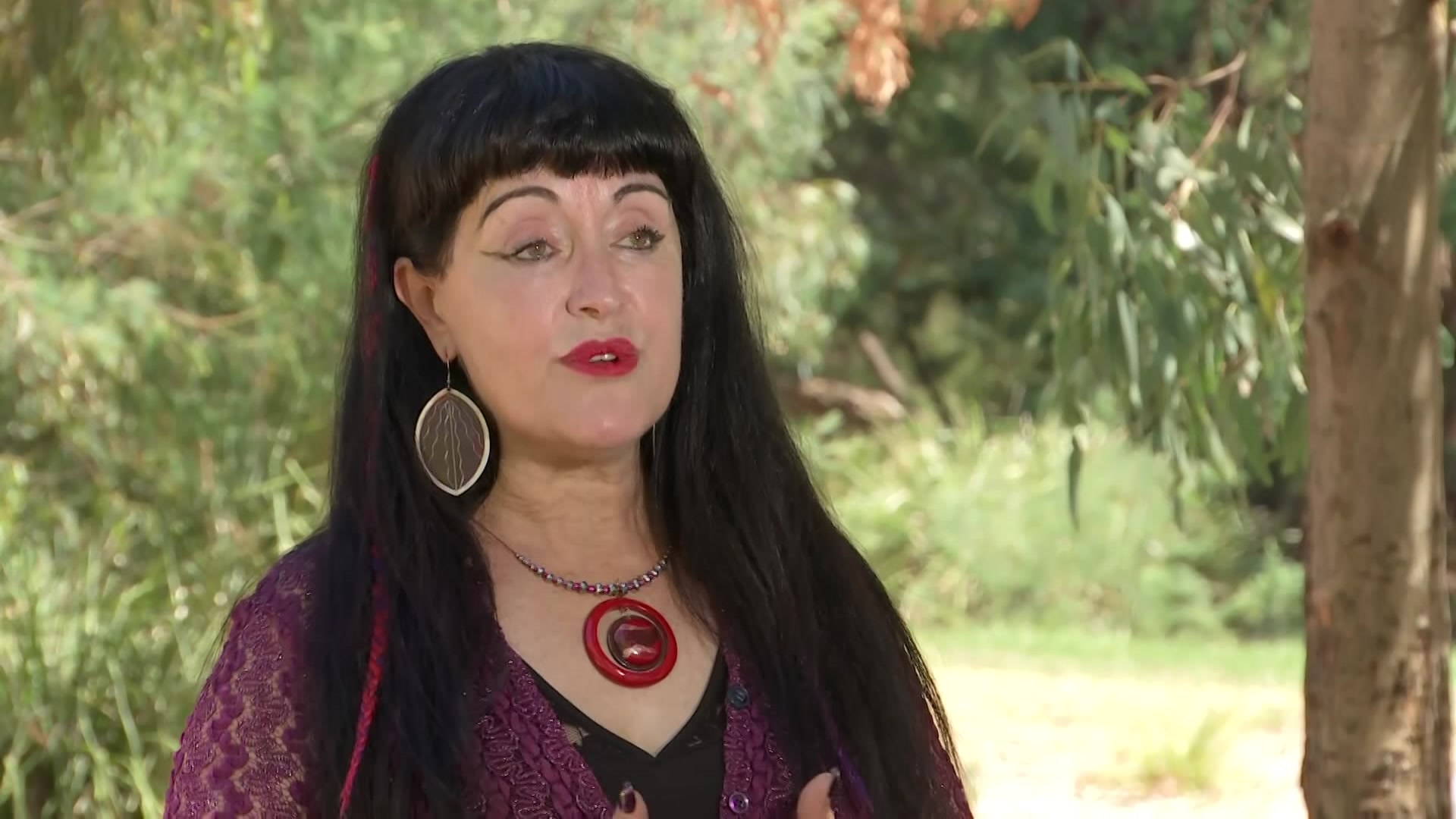 Gay conversion ban advocates call for SA government to create laws to ...