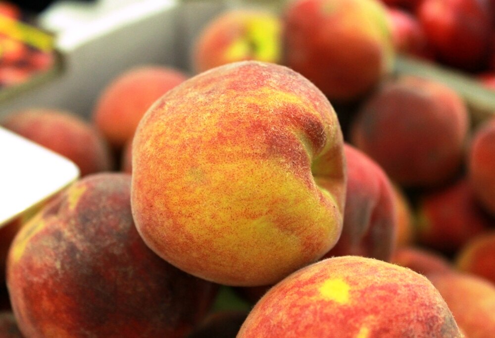 China and Australia explore closer links for peach research - ABC News