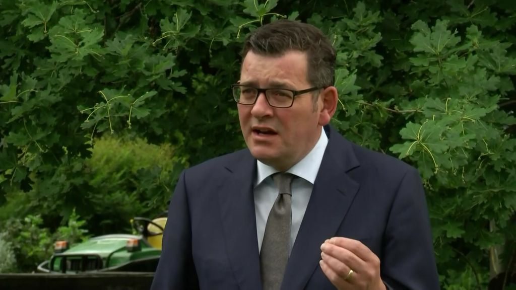Daniel Andrews announces $870 million mental health boost - ABC News