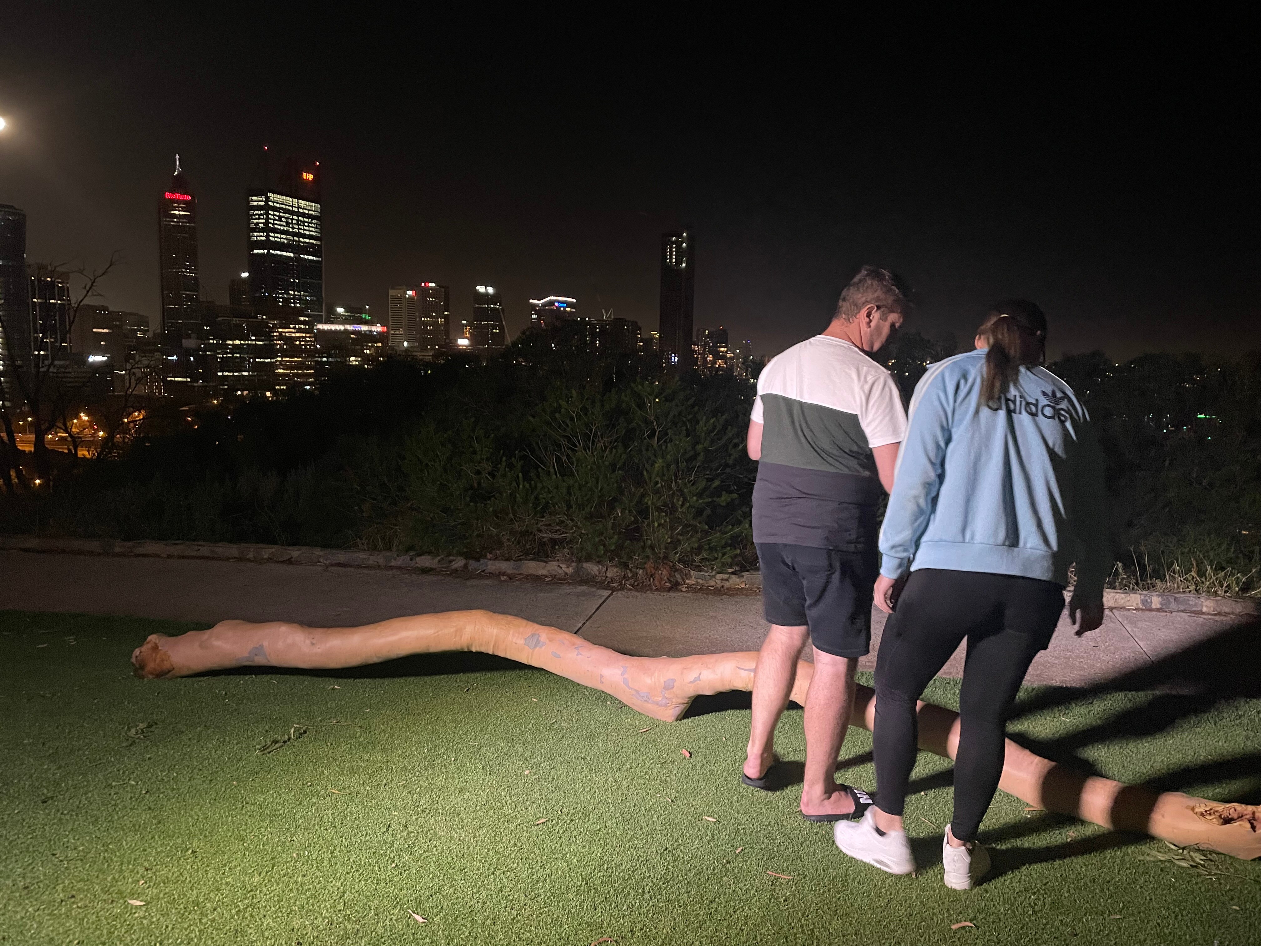 Tree branch falls on people gathered for Australia Day at Perth's Kings ...