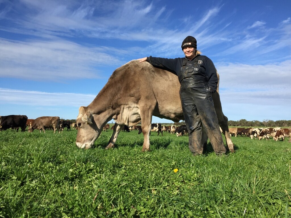 Australian Dairy Farmers calls for action, not political rhetoric as ...