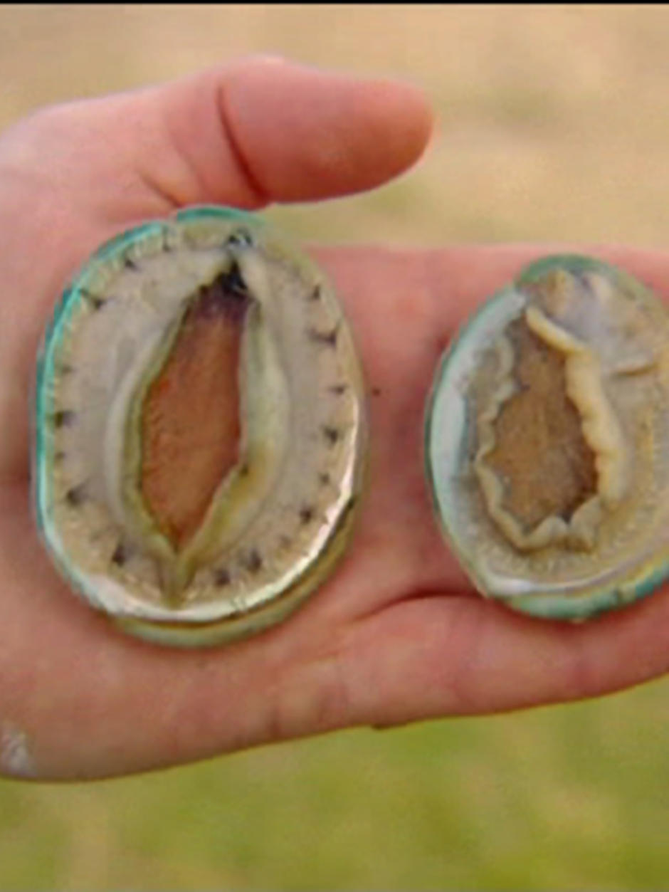 Class action alleges Government should have intervened to stop spread ...