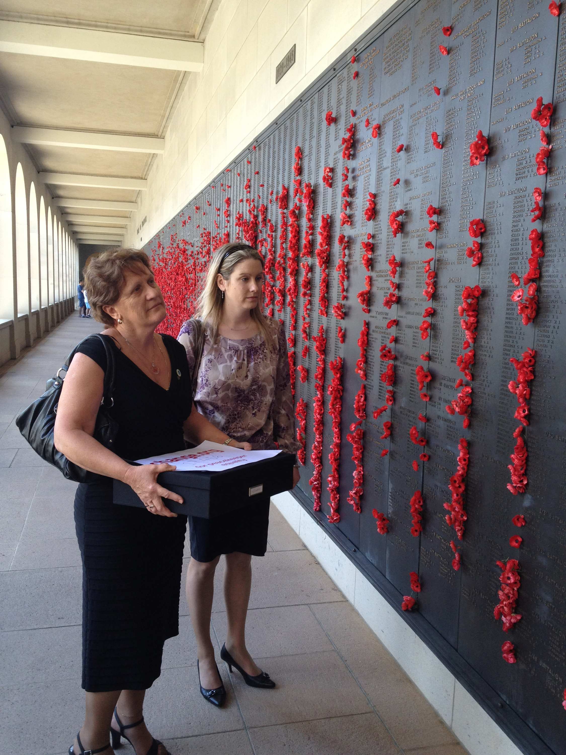 Petition calls for greater recognition of peacekeepers - ABC News