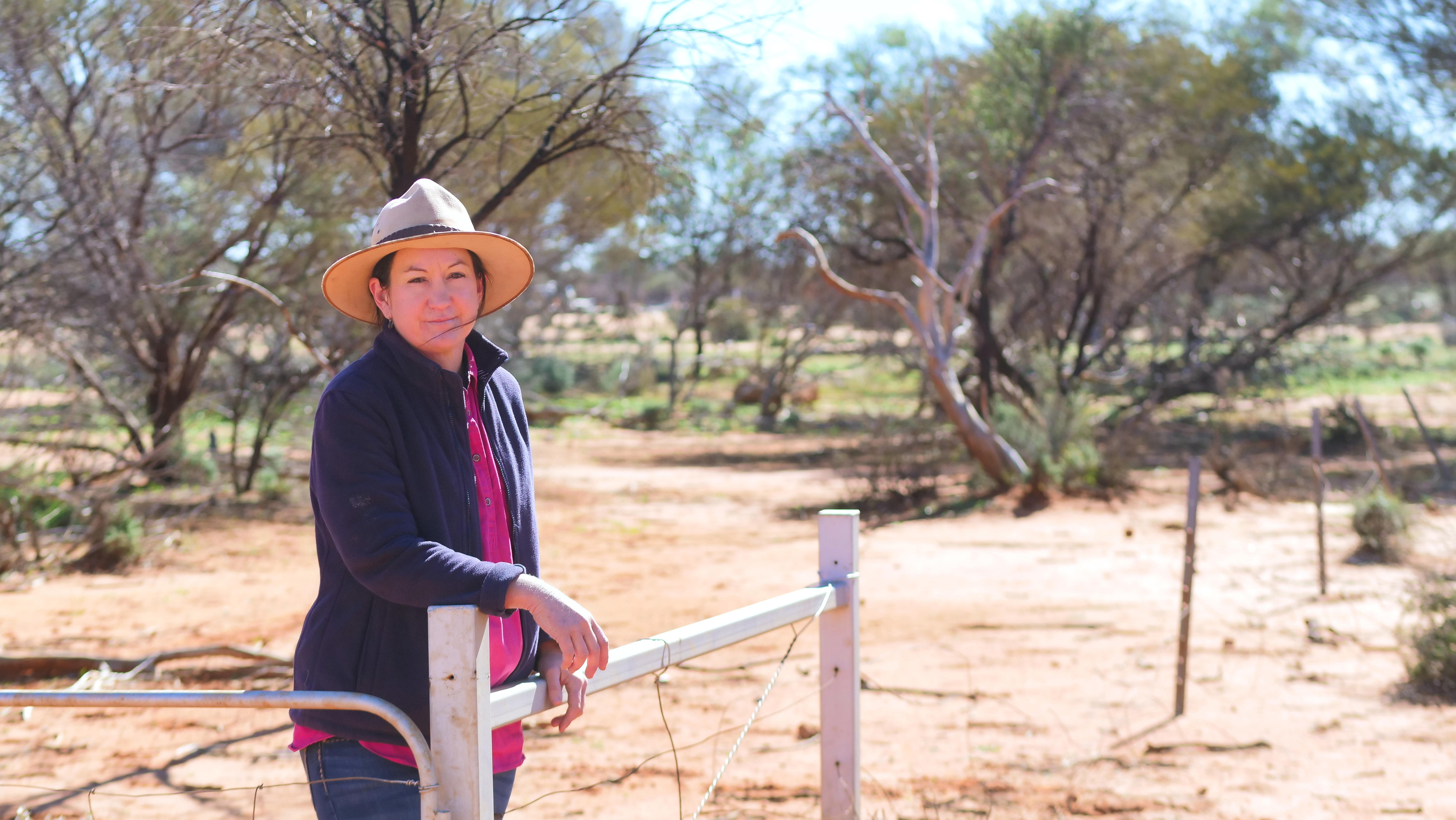 Level crossing control systems reviewed decades after Wheatbelt fatal ...
