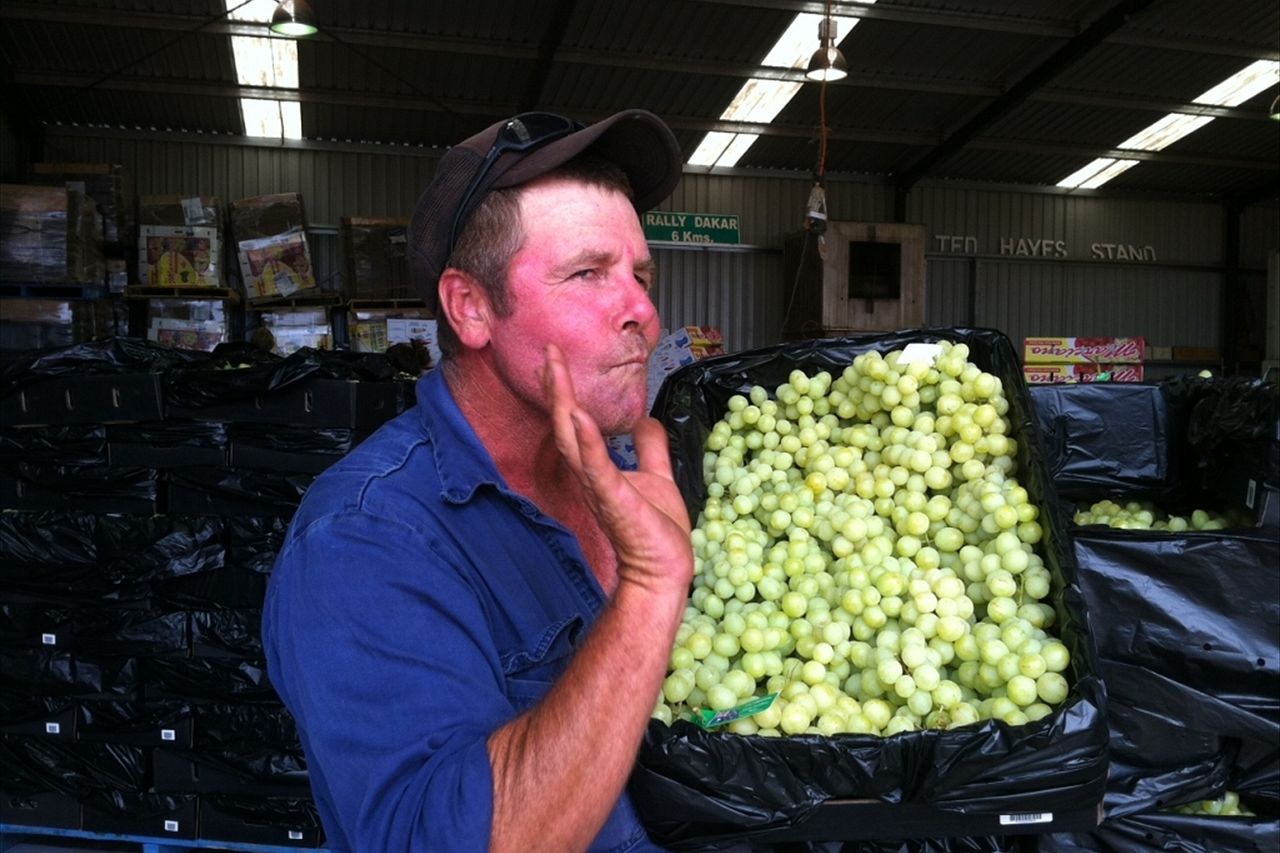 Storm batters desert table grapes - ABC News