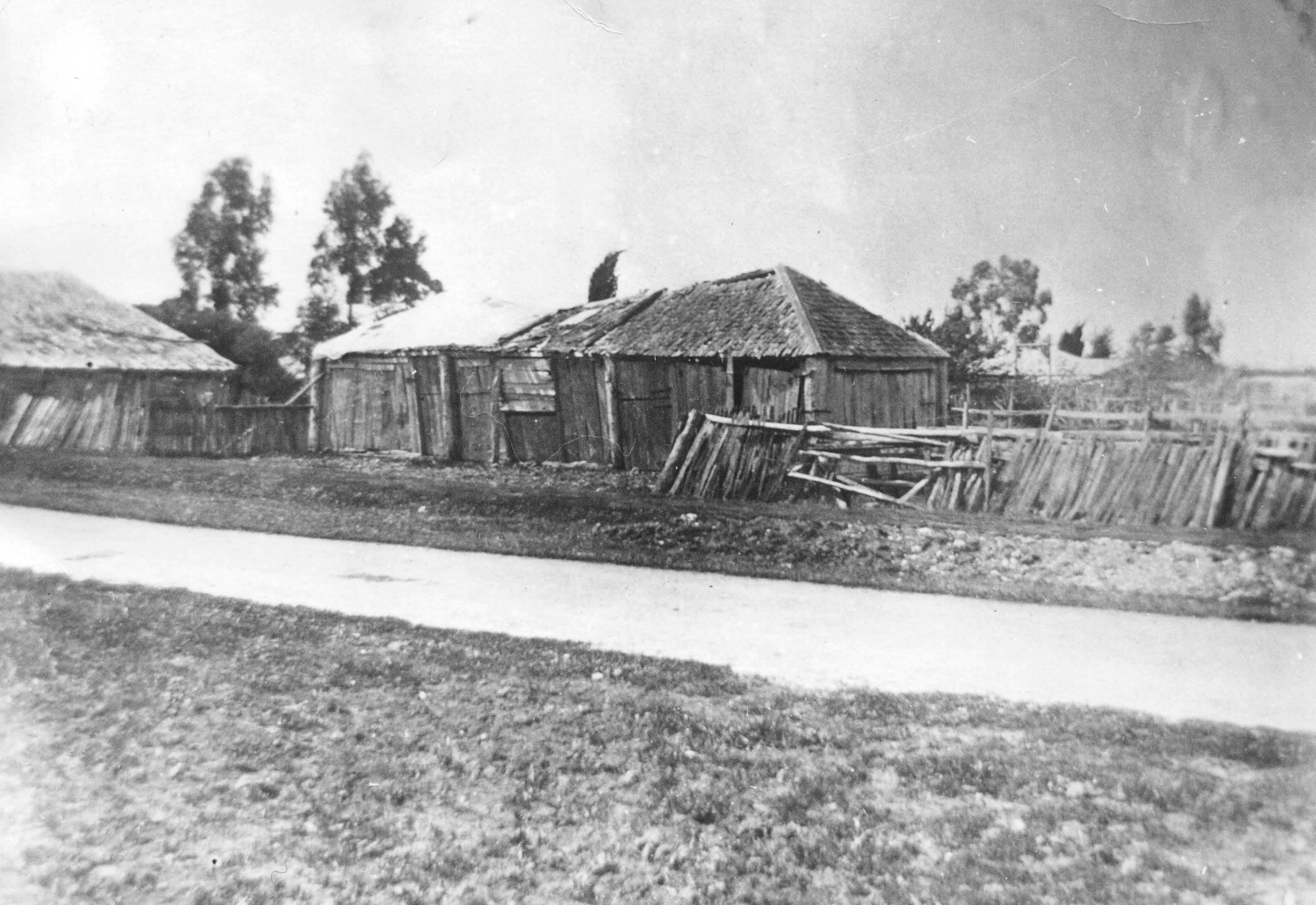 Dig finds evidence of first MacKillop schoolroom - ABC News