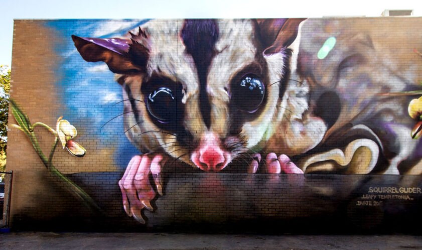 Rural Street Art - ABC Radio National