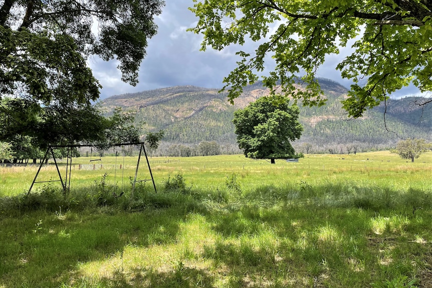 How Black Summer bushfire recovery art is helping Upper Murray farmers ... How Black Summer bushfire recovery art is helping Upper Murray farmers ...