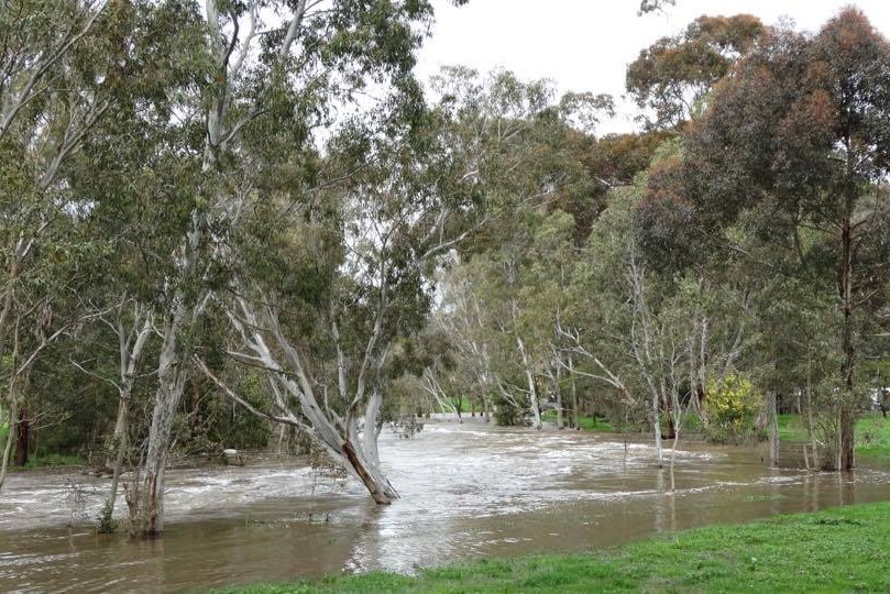 Victorian weather: Rain passes but 'uncertain' times ahead for towns on ... Victorian weather: Rain passes but 'uncertain' times ahead for towns on ...