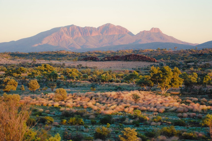 Traditional owners, advocates say federal Threatened Species Action ... Traditional owners, advocates say federal Threatened Species Action ...