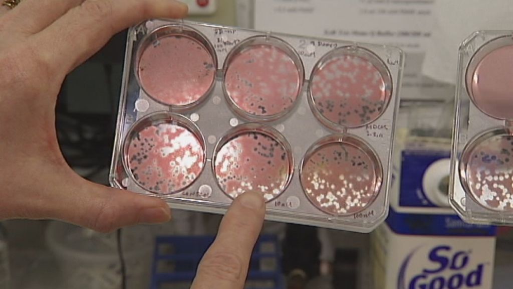 No need for a needle, the Australian breakthrough for polio vaccine ...