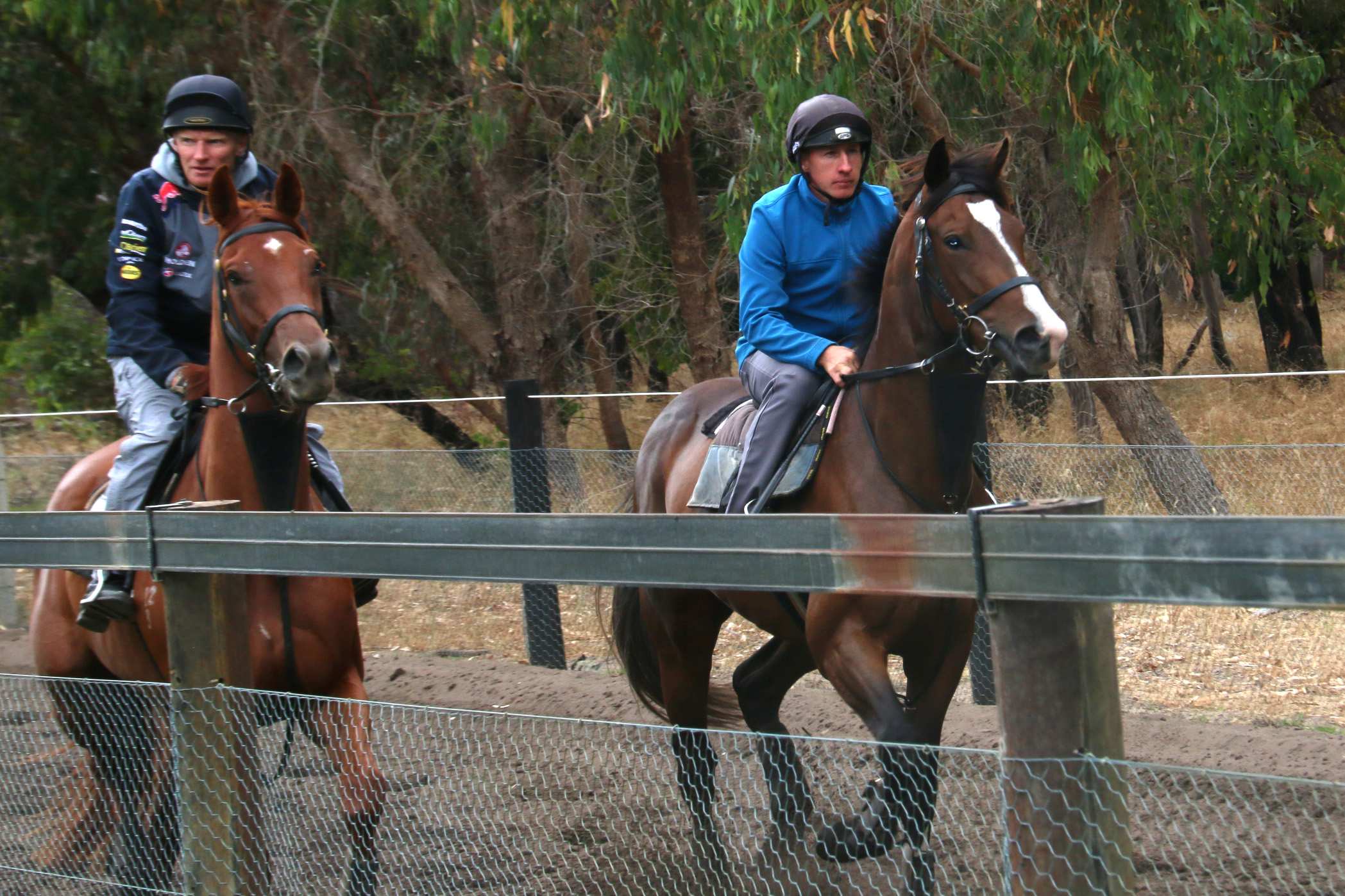 Perth Cup: Top jockey William Pike eyes third race win - ABC News