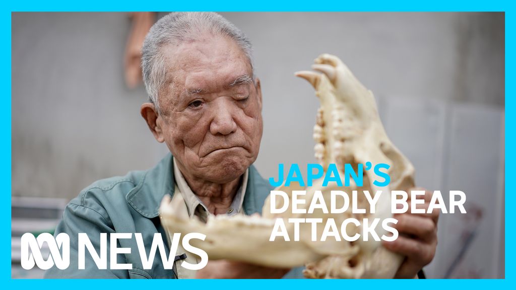 Top stories on ABC News - ABC News